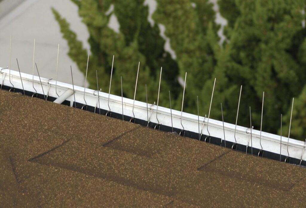 Best Barriers to Prevent Gutter Overflow and Water Damage