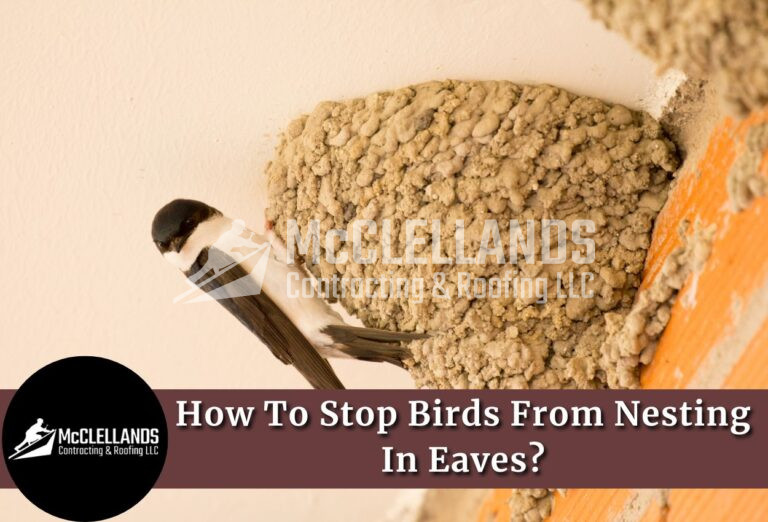 How to stop birds from nesting in eaves?